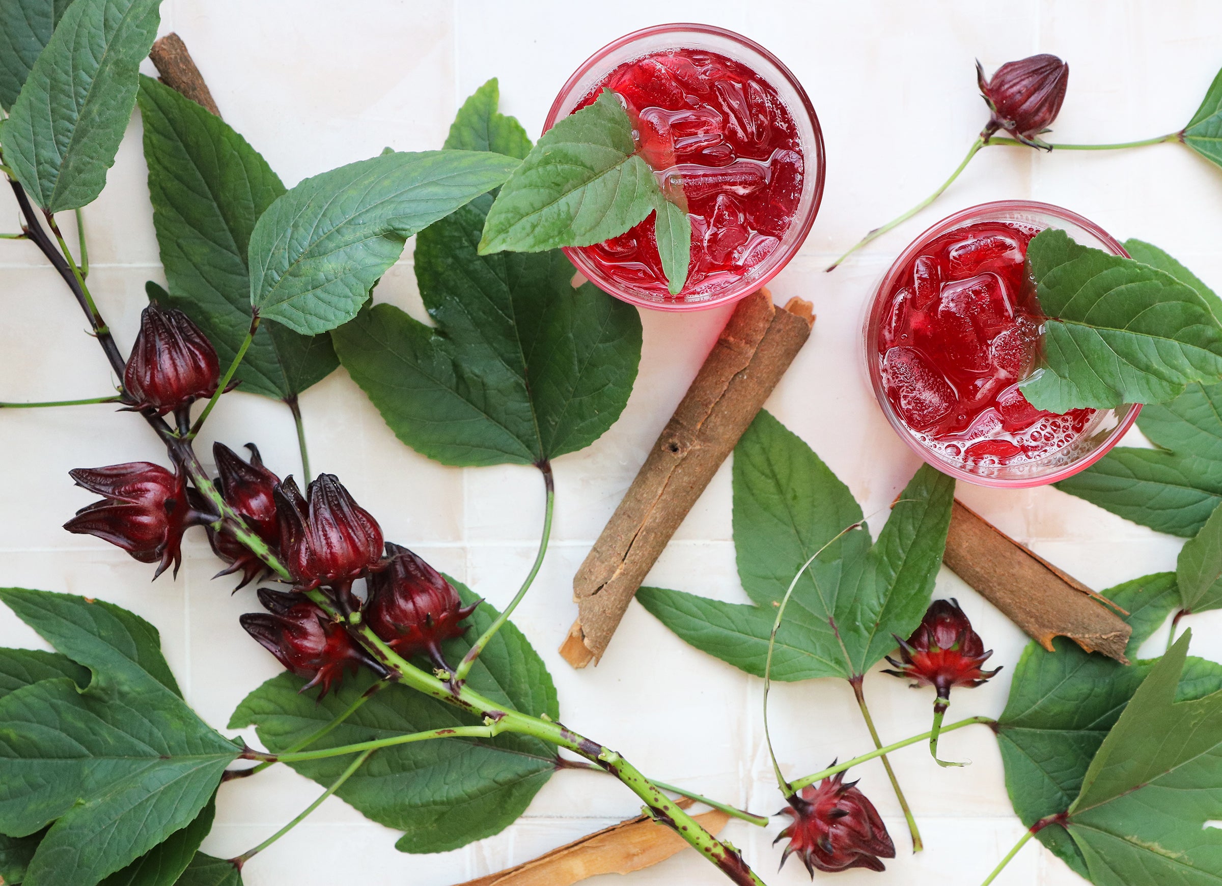 Roselle Lemonade – india1948