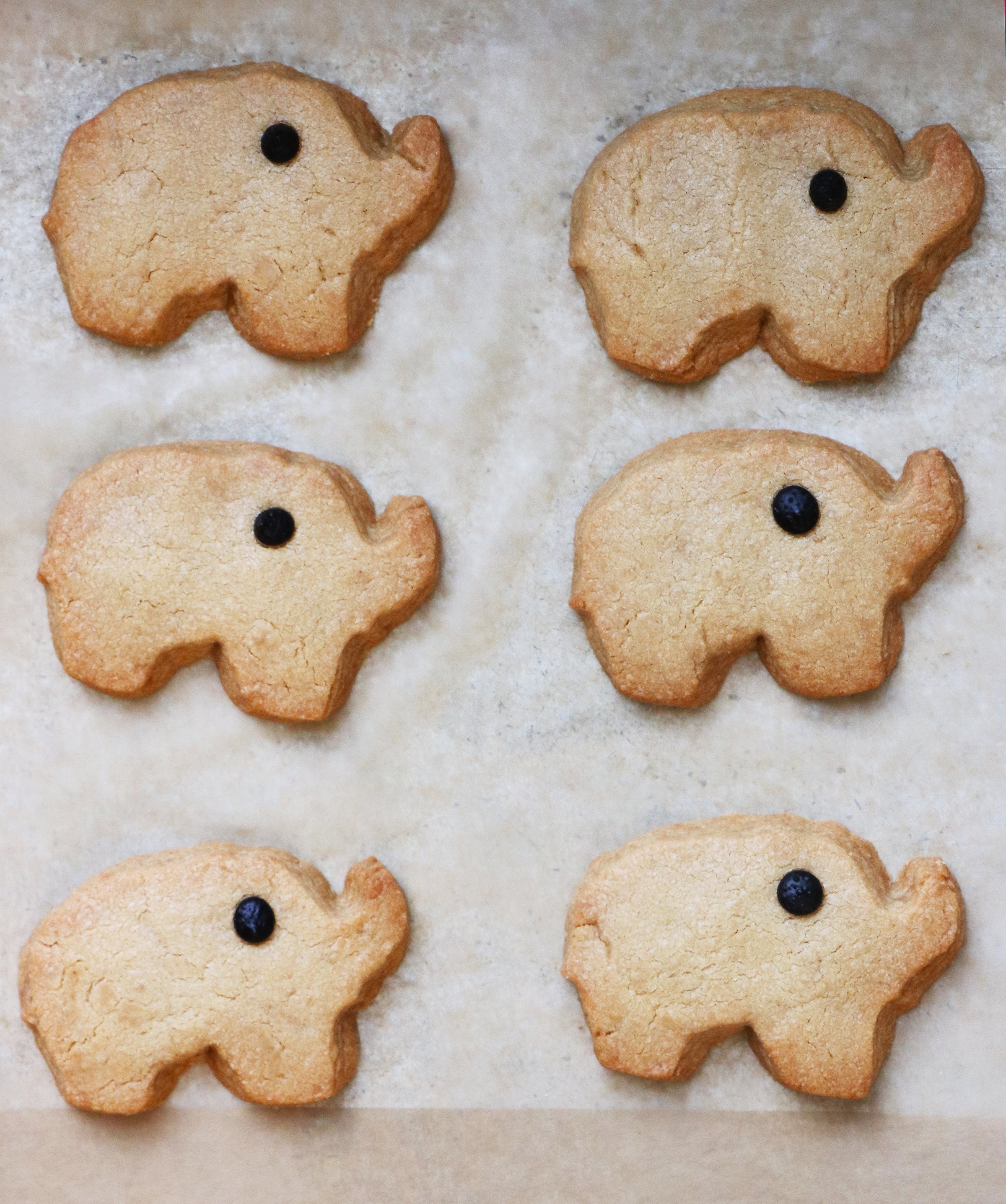 Elephant Cookie – india1948